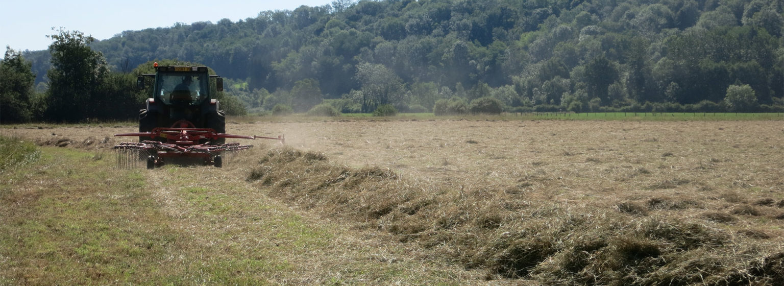 Prairies humides - Conservatoire d'espaces naturels de Franche-Comté