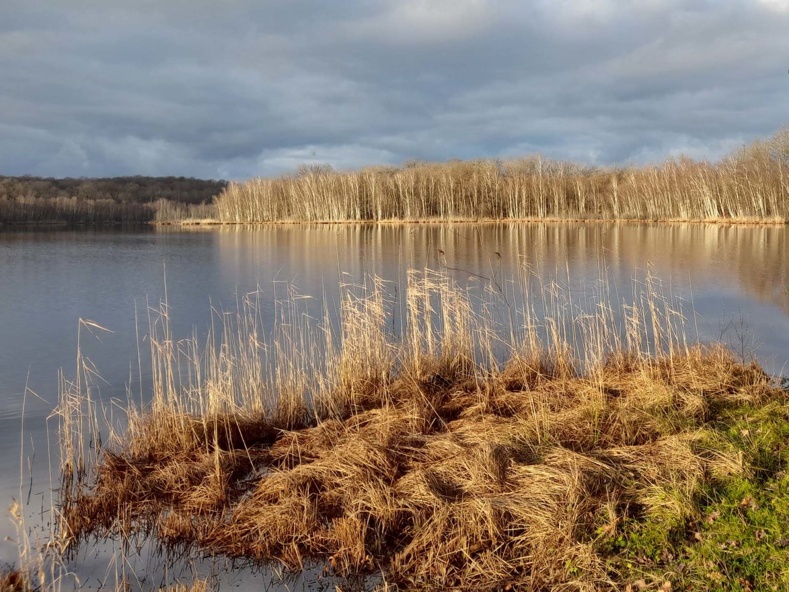 Prairies humides - Conservatoire d'espaces naturels de Franche-Comté