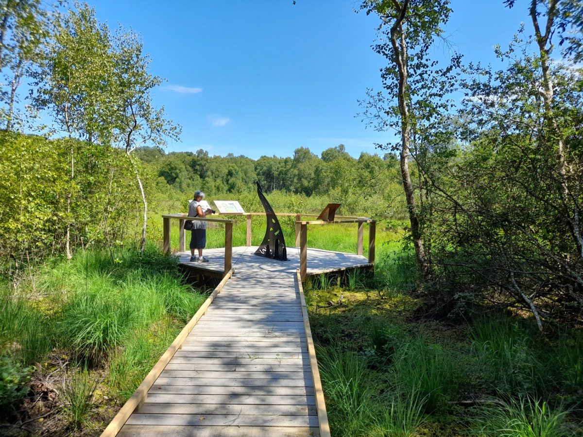 Tourbières et bas-marais - Conservatoire d'espaces naturels de Franche ...