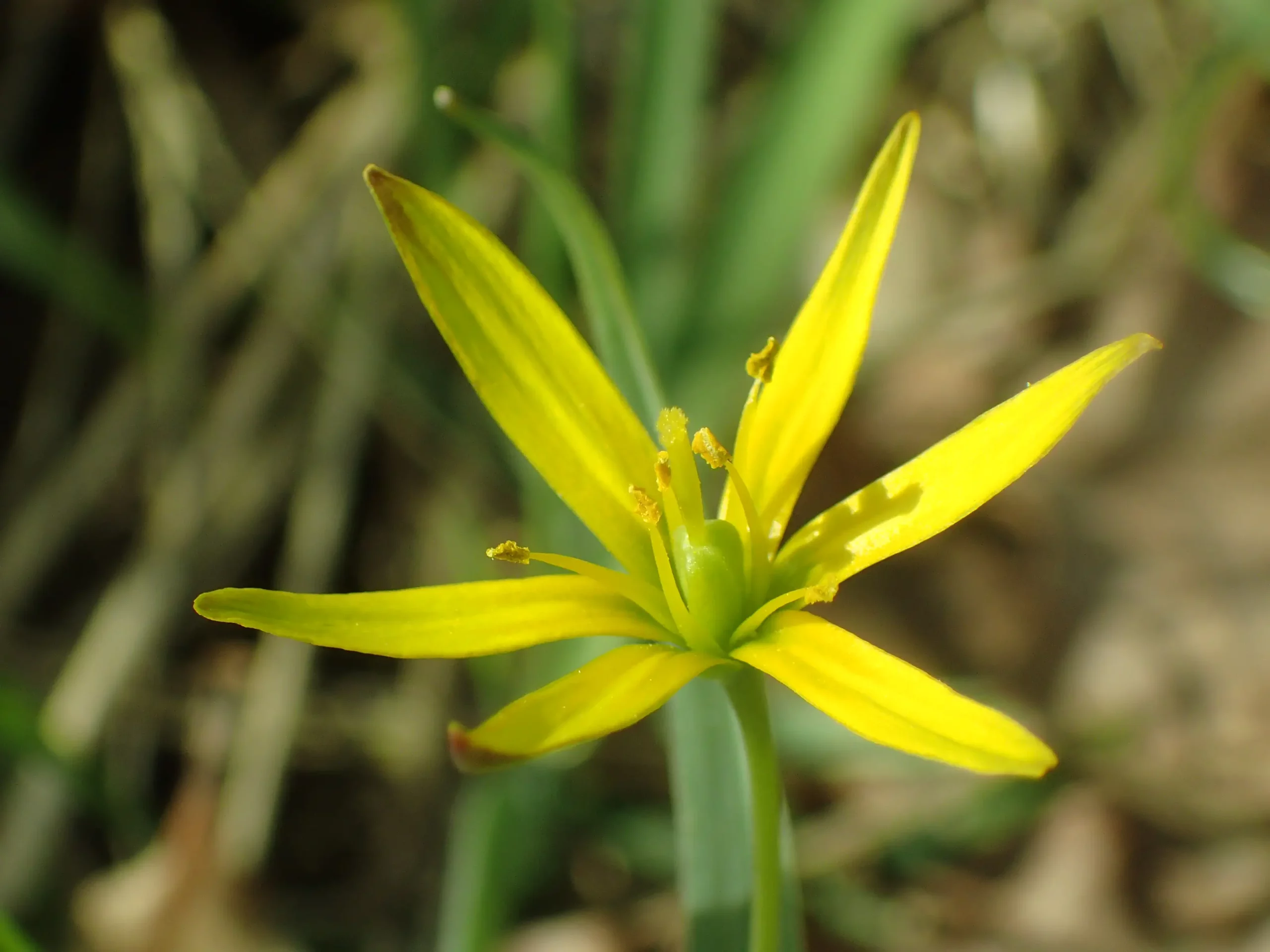 1, 2, 3, Gagées ! - CEN Franche-Comté