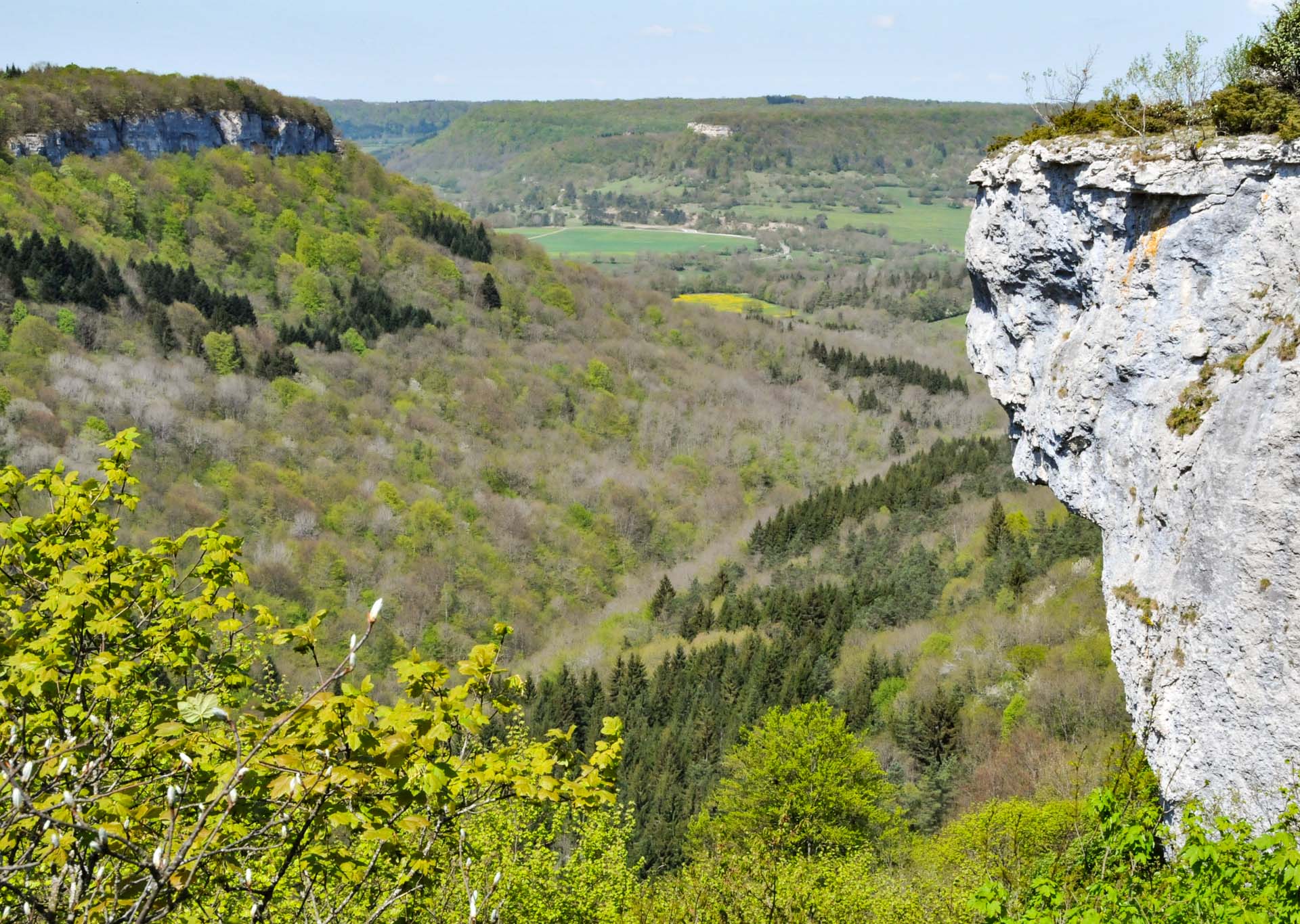 Le réveil du printemps - CEN Franche-Comté